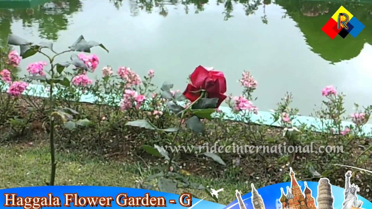 Haggala Flower Garden G - YouTube
