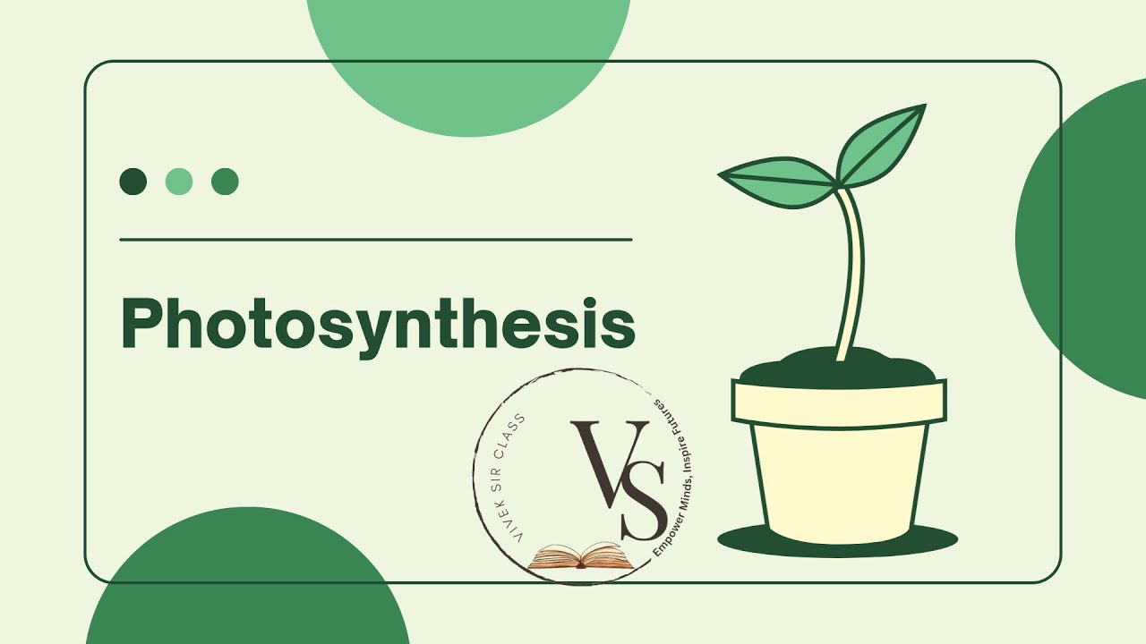 Photosynthesis: The Science Behind Plant Energy Production - YouTube