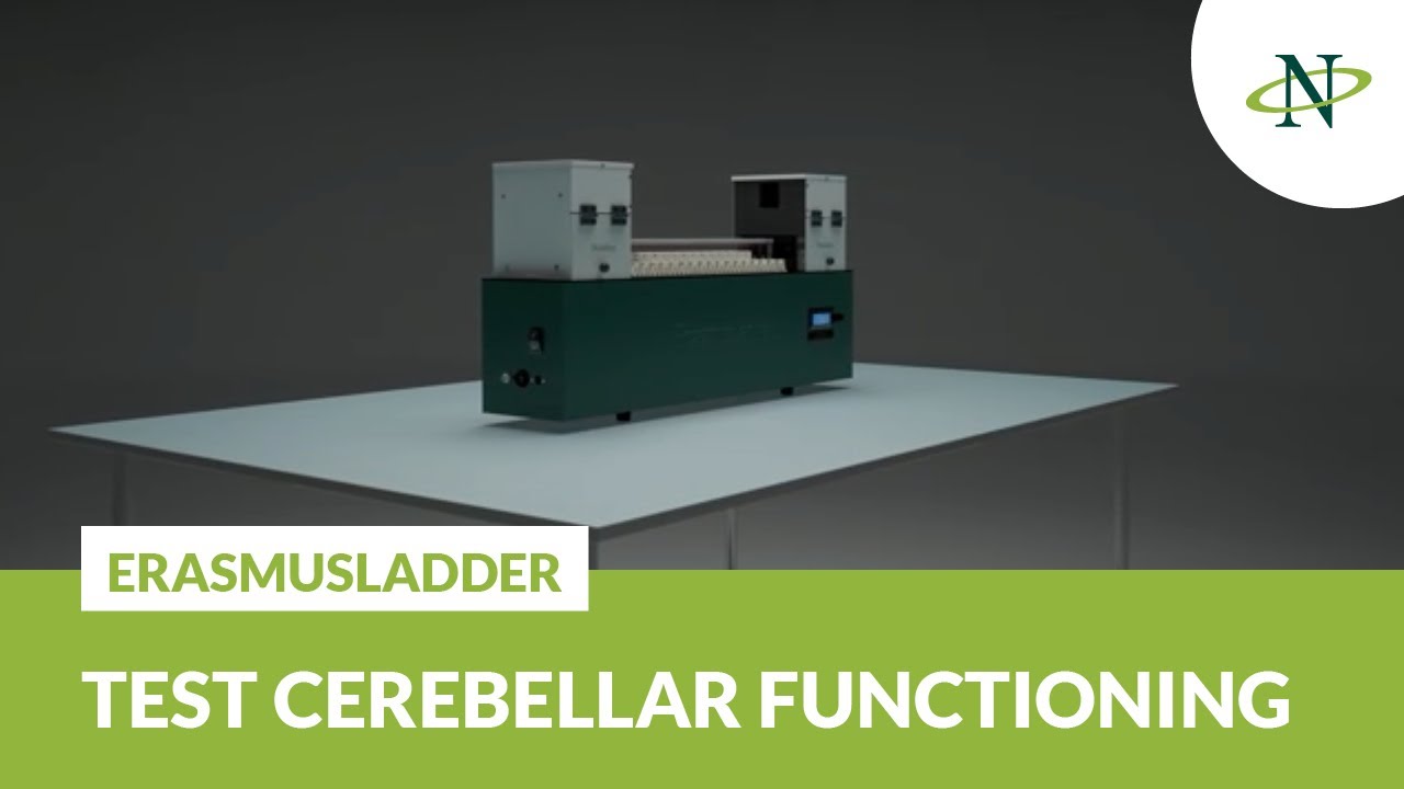 ErasmusLadder in 3 minutes | Noldus Product Demo - YouTube