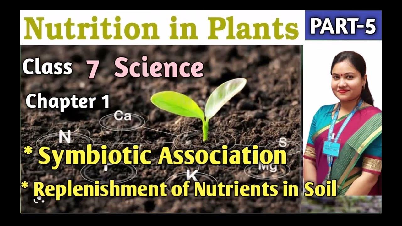 Class 7 Science Nutrition in Plants | CBSE Science Class 7 Chapter 1 ...