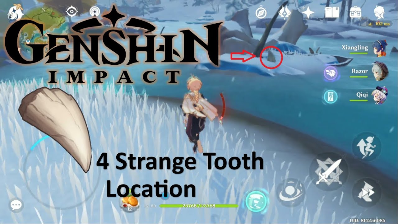 Strange Tooth Location / Lokasi Gigi Yang Aneh Genshin Impact - YouTube