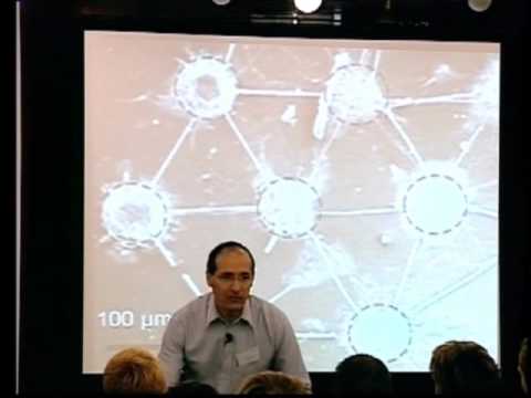 Human brain: fuse with computer chips, biodigital brain control ...