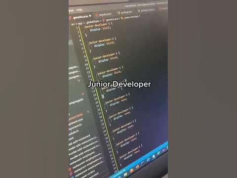 junior developer vs senior developer #coading - YouTube