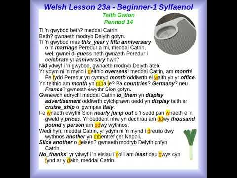 Welsh Lesson, 23a, Beginner-1, Sylfaenol, #welshreading, #welshvocab, 230126-03 - YouTube
