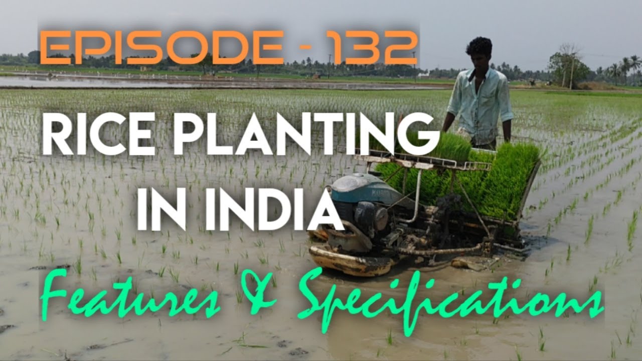 Amazing Rice Planting Machine I Kubota NSP – 4 I Full features and ...