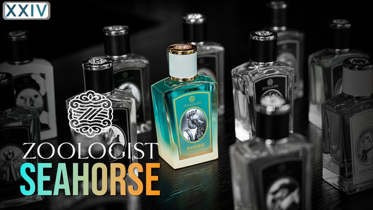 Review Seahorse Zoologist - NGON, ĐỘC, MƯỢT | Hoàng XXIV - YouTube