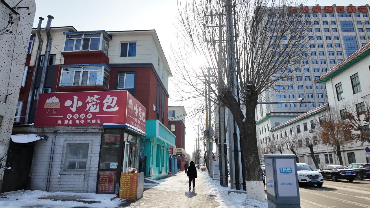 Winter Street Walk in China 🇨🇳 | Everyday Life in Shenyang Streets ...