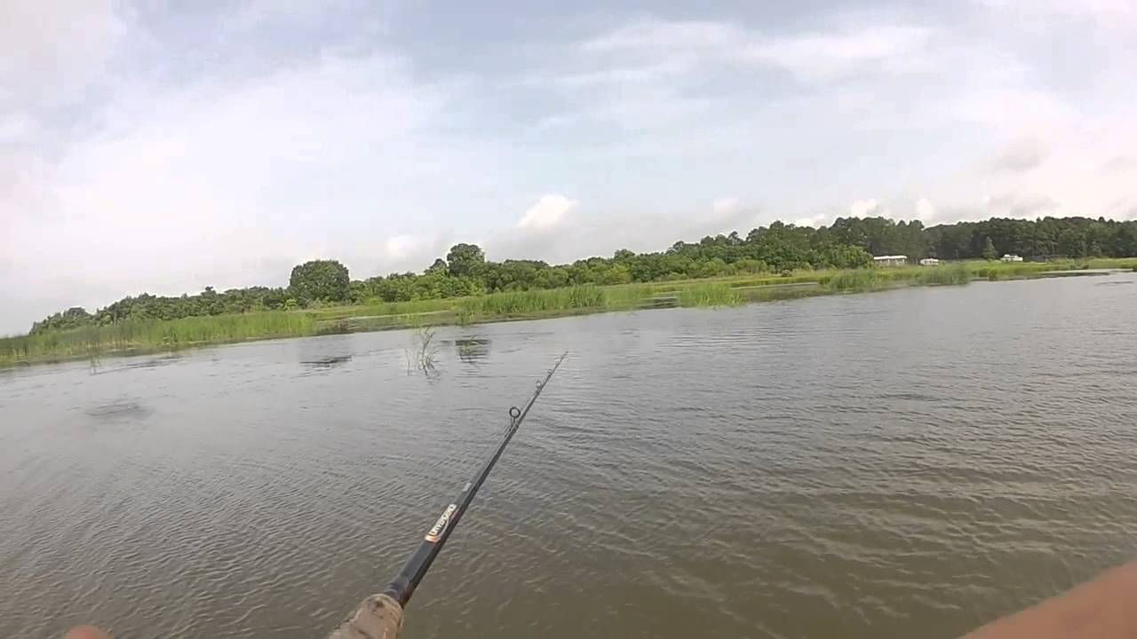 Frog fishing on the Mobile Tensaw Delta - YouTube