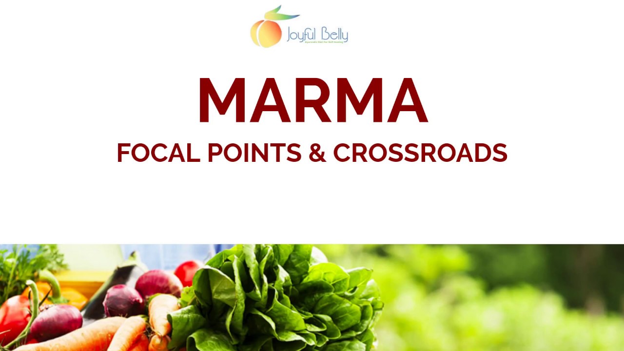 Marma: Anatomy & Physiology 3 of 9 - YouTube