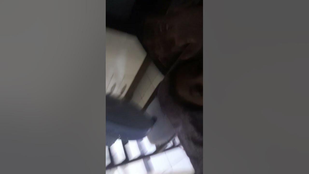 6 de janeiro de 2025 - YouTube