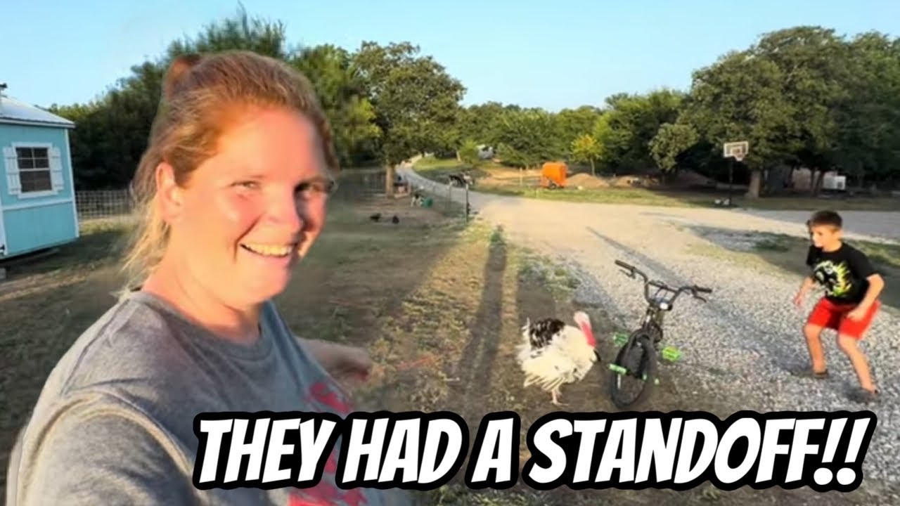 Jerry, The Turkey Trying To Attack Again!! - YouTube