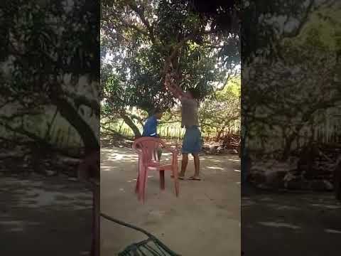 Aprendam a dança reggae