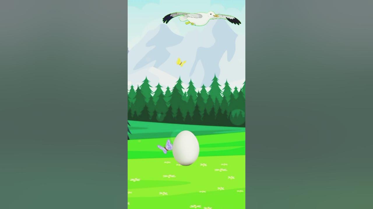 Flaying Birds 🐦 Magic 🎩 #funny #comedy #shorts #birds #magic #egg # ...