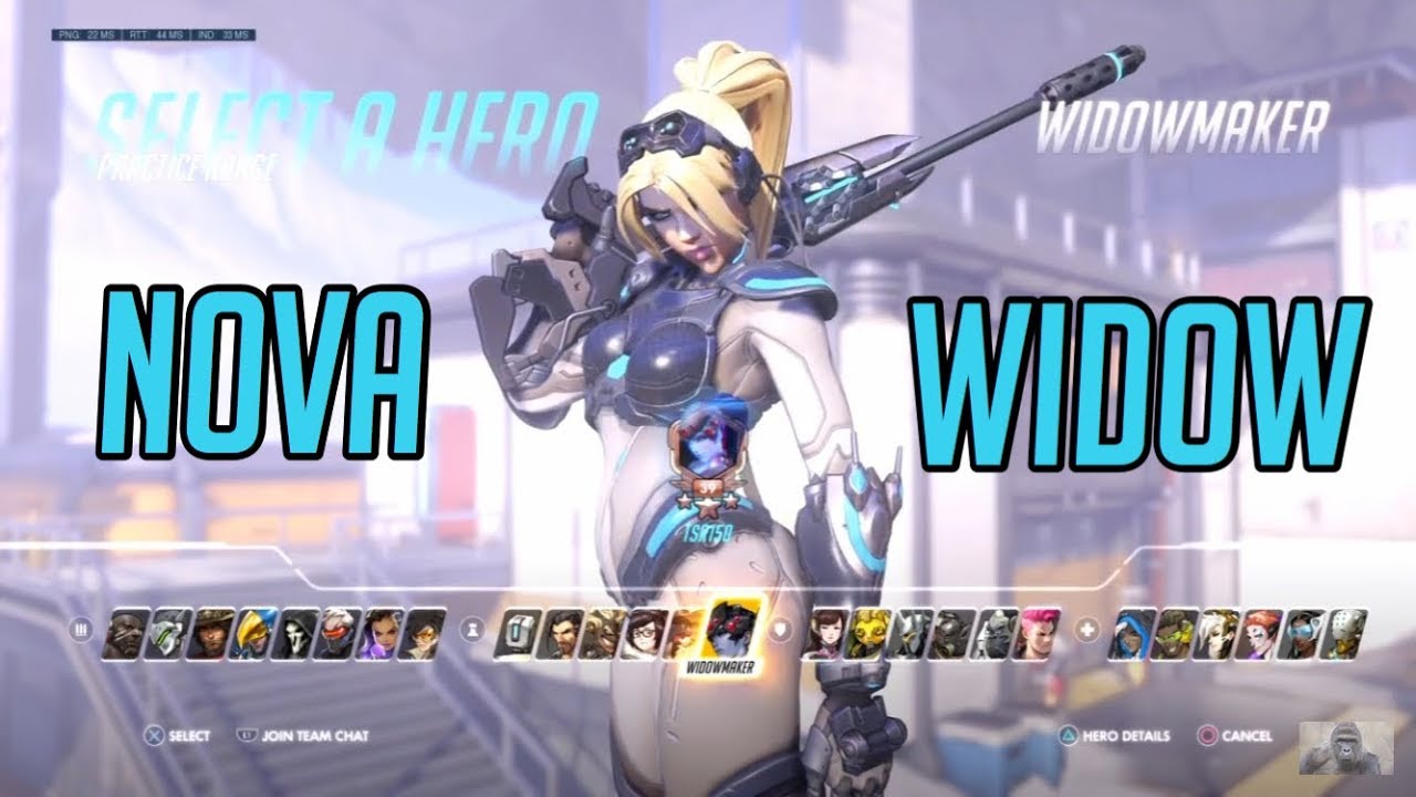 NOVA WIDOWMAKER SKIN GAMEPLAY (NEW WIDOW SKIN) - YouTube