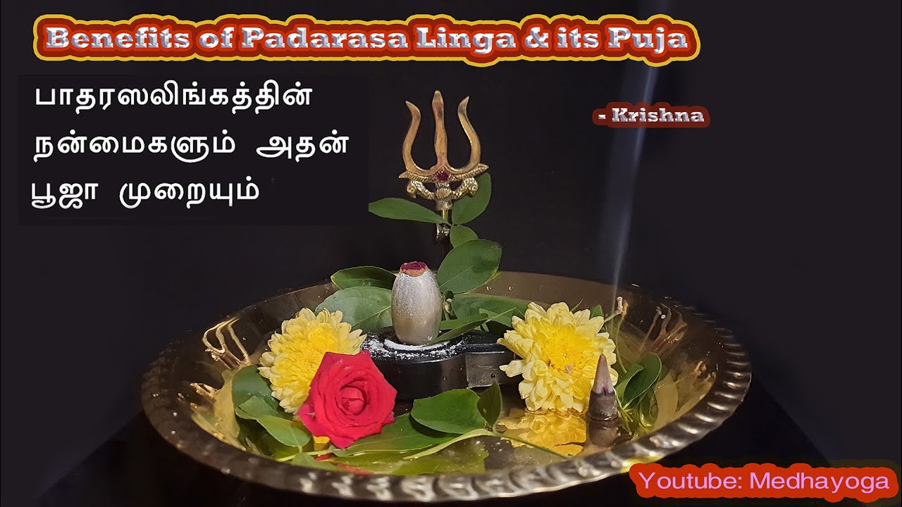 Benefits of Padarasa / Parad Lingam and Puja – பாதரஸலிங்கத்தின் ...