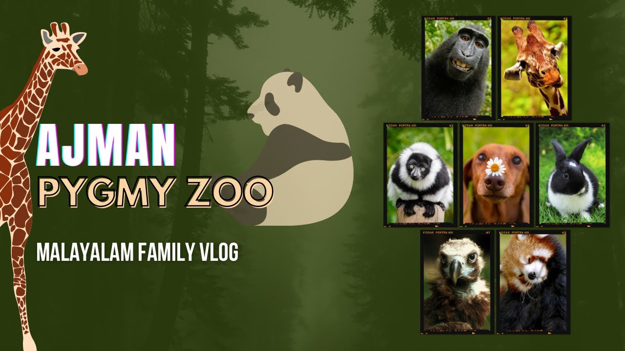 PYGMY ZOO | AJMAN | MALAYALAM VLOG | FAMILY TRIP | ASWIN AR VLOGS - YouTube