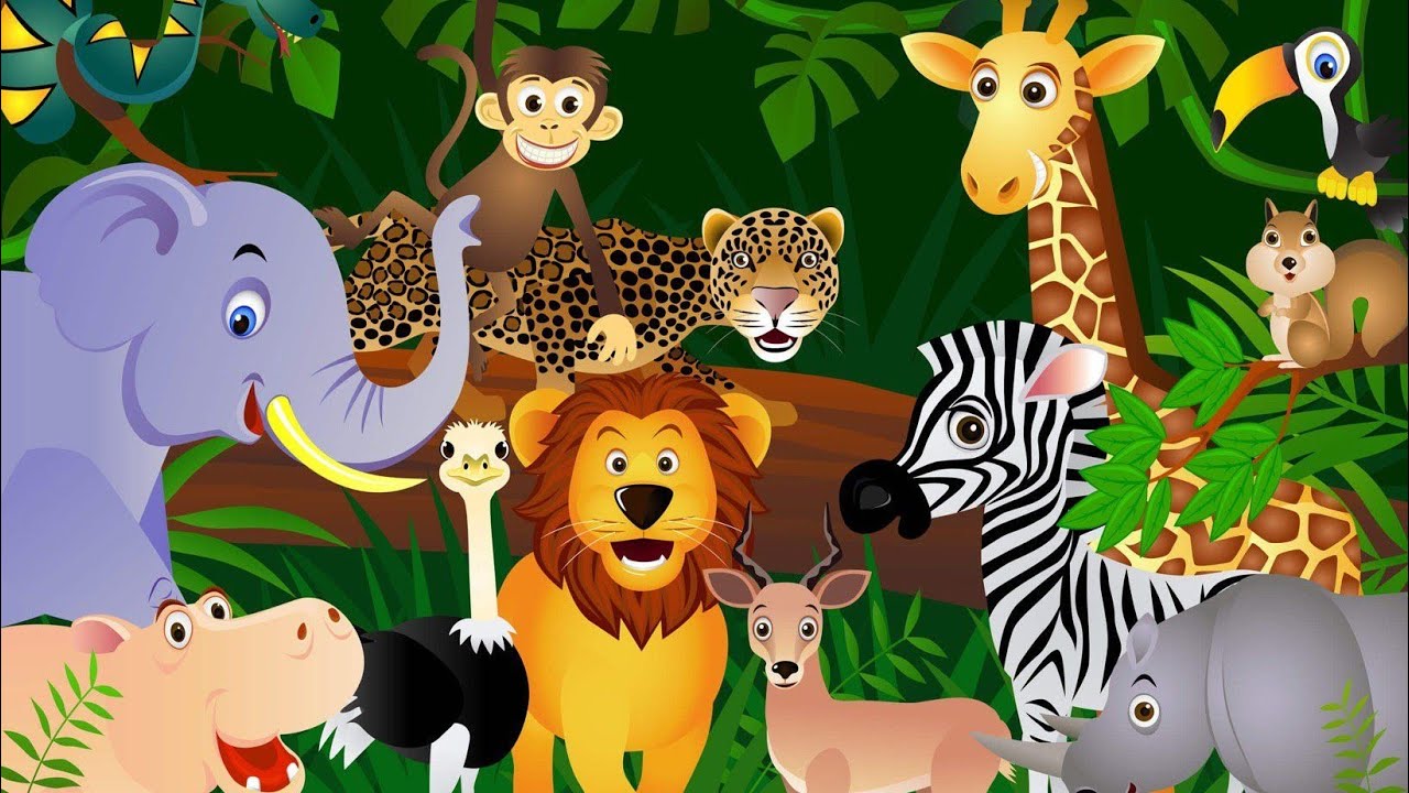 wildlife video || amazing scene of wildlife animals - YouTube