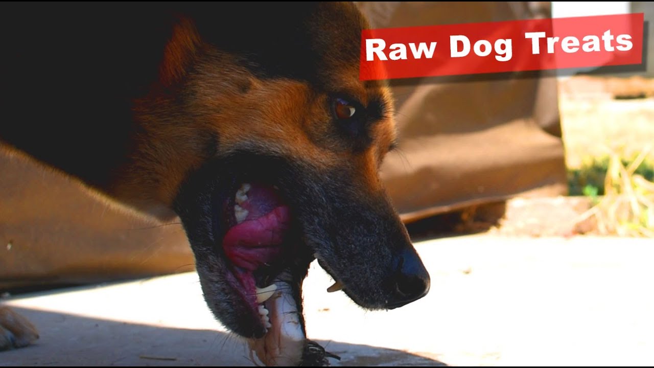 Dog Eating Raw Skin - YouTube