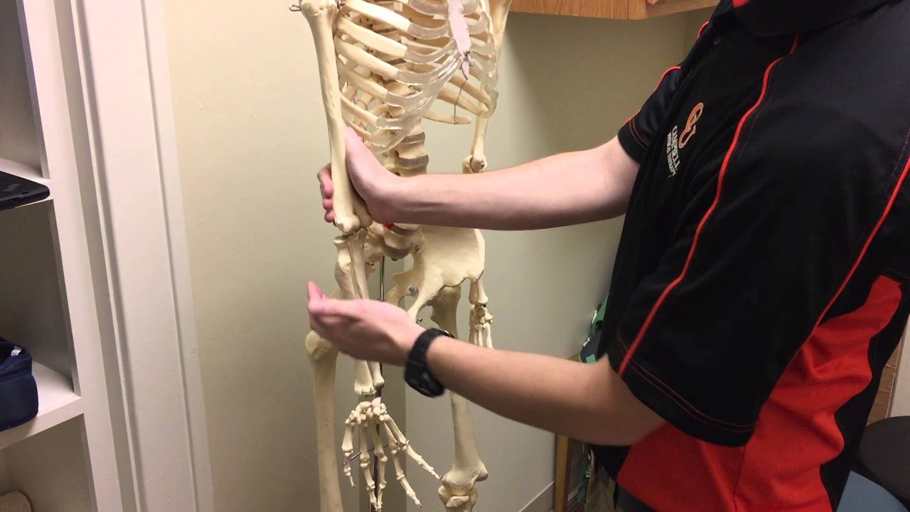 Humeroradial distraction with anterior and posterior glides - YouTube