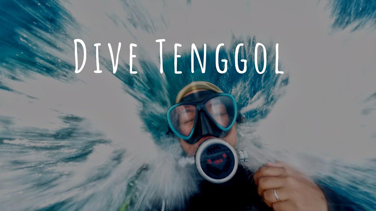 Vlog: Dive Tenggol Island - Dive with Che Wan Scuba | May 2024 - YouTube