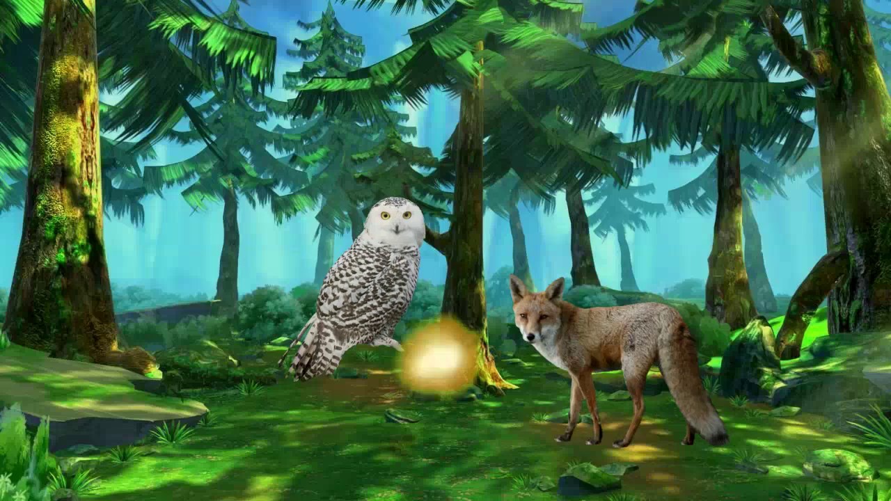 cow,Fox,Chicken,Owl,Cartoon - YouTube