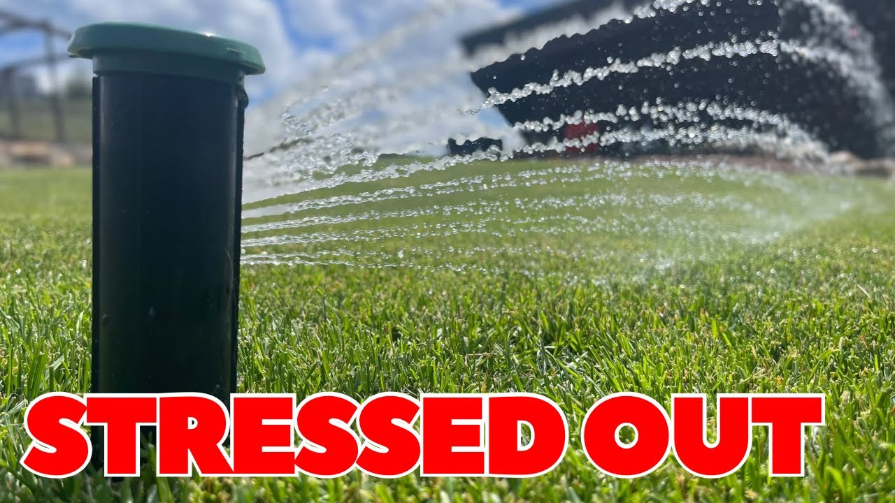 GRASS Needs To BE STRESSED to be BEAUTIFUL - YouTube