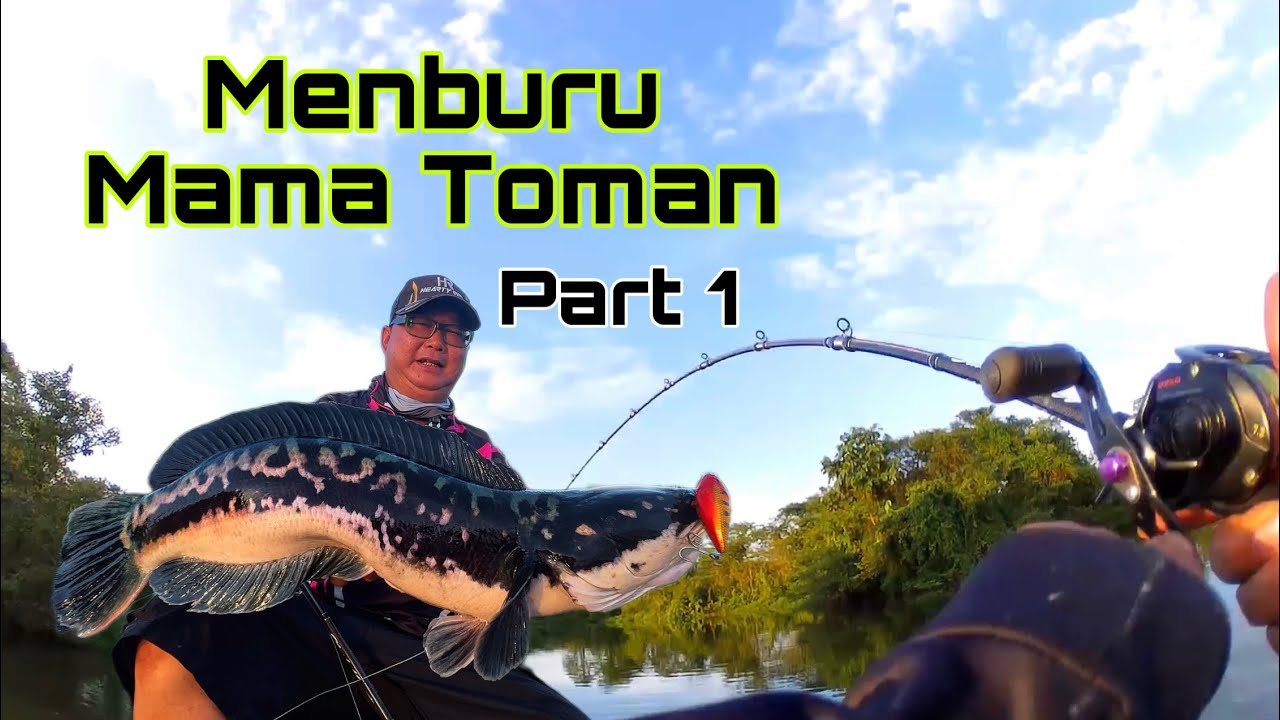 Menburu MaMa Toman Di Kolam Tepi Jalan | Lombong | Cast & Release ...