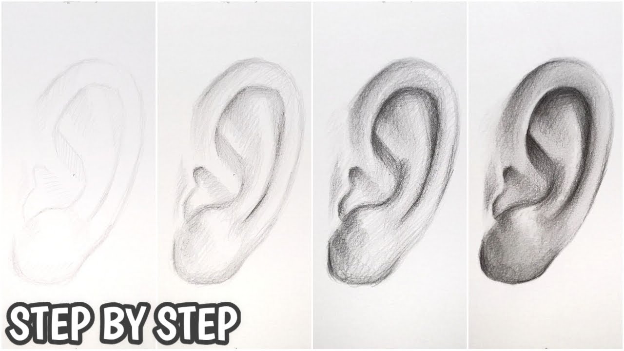 CARA MENGGAMBAR TELINGA step by step | how to draw ear - YouTube