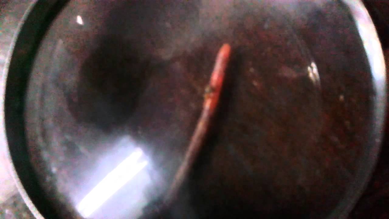 earthworm movement - YouTube