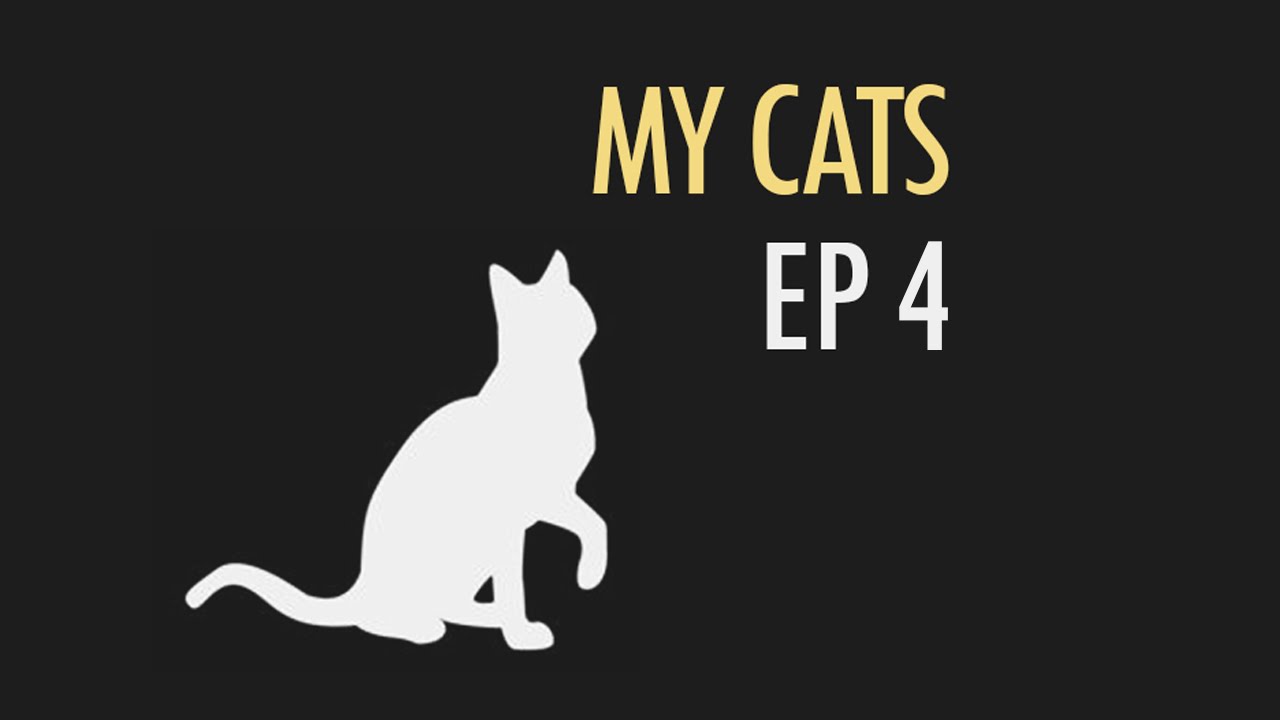 My Cats Ep. 4 - YouTube