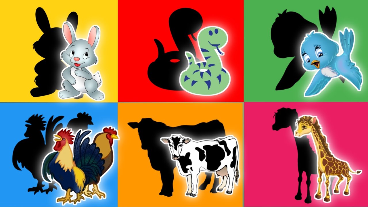 ANIMALS: GIRAFFE, CHICKEN, RABBIT, COW, SNAKE and BIRD - YouTube