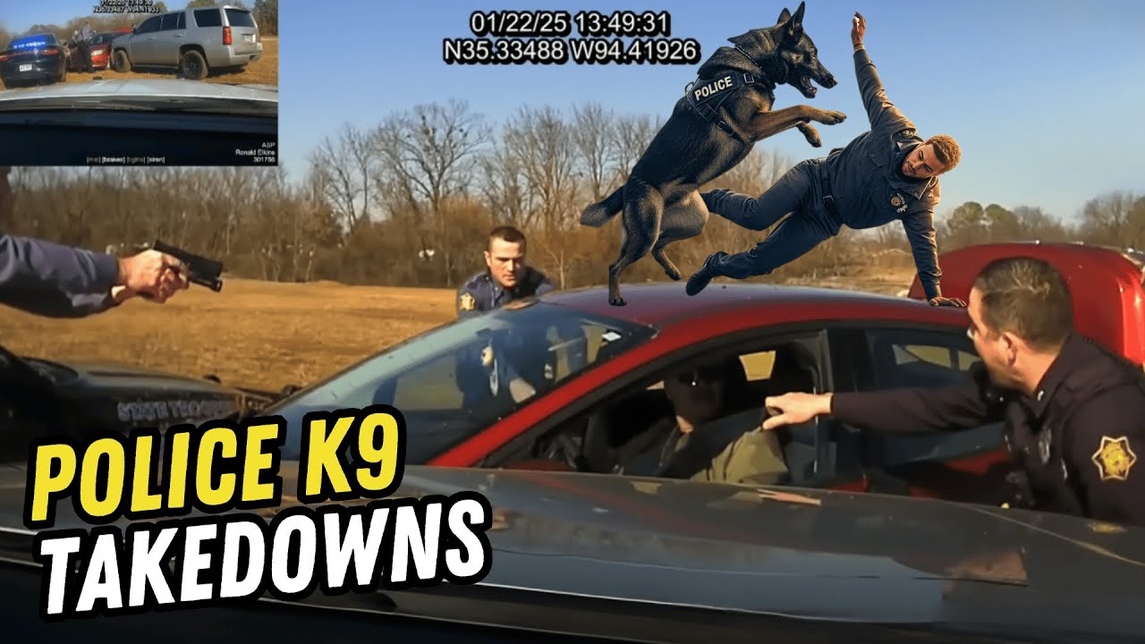 Craziest Police Chase Compilation | Police K9 Takedowns Caught on ...