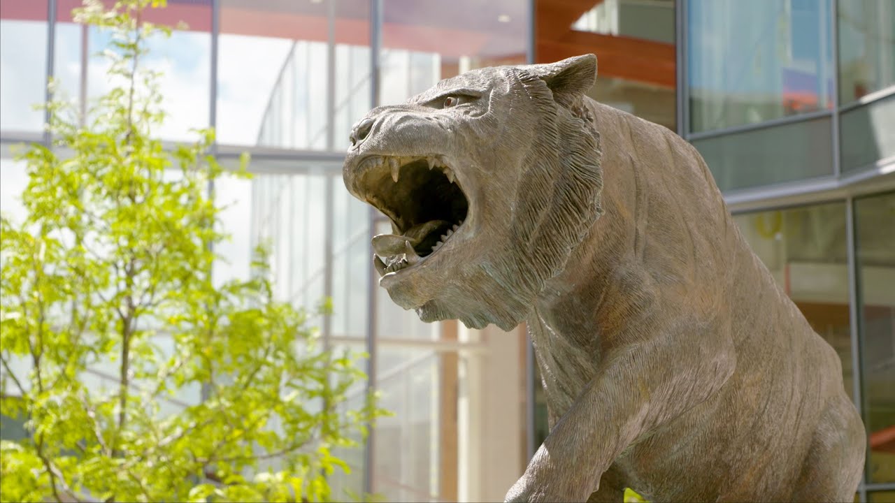 The RIT Tiger returned to the Quarter Mile - YouTube