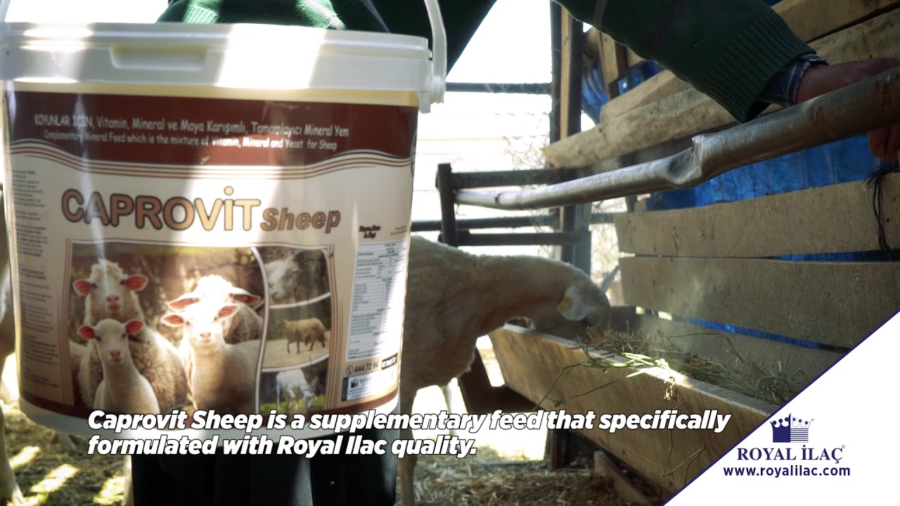 CAPROVIT SHEEP: Integrated feed supplement for sheeps and lambs to ...