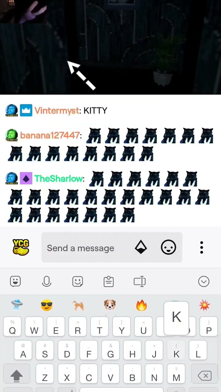 Kitty caseoh #caseoh - YouTube