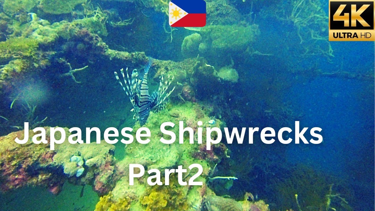 Amazing Scuba Diving Tour of Japanese Shipwreck in Coron Philippines 🇵🇭 ...