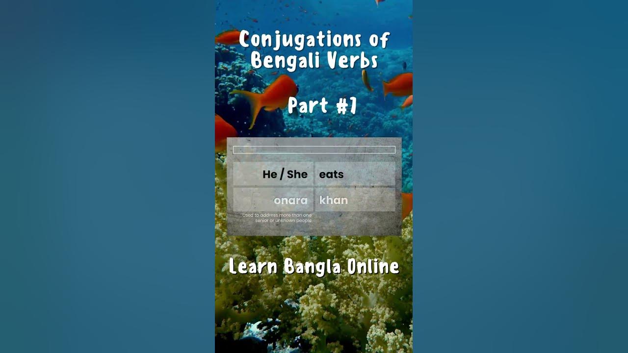 Conjugations Of Bengali Verbs Part 7 YouTube conjugations-of-bengali-verbs-part-7-youtube