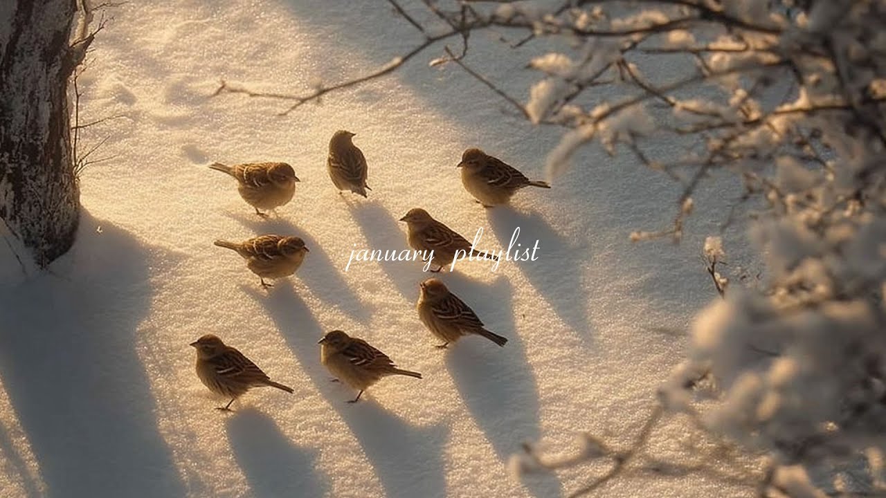 january vibes - a playlist to start the new year slowly - YouTube