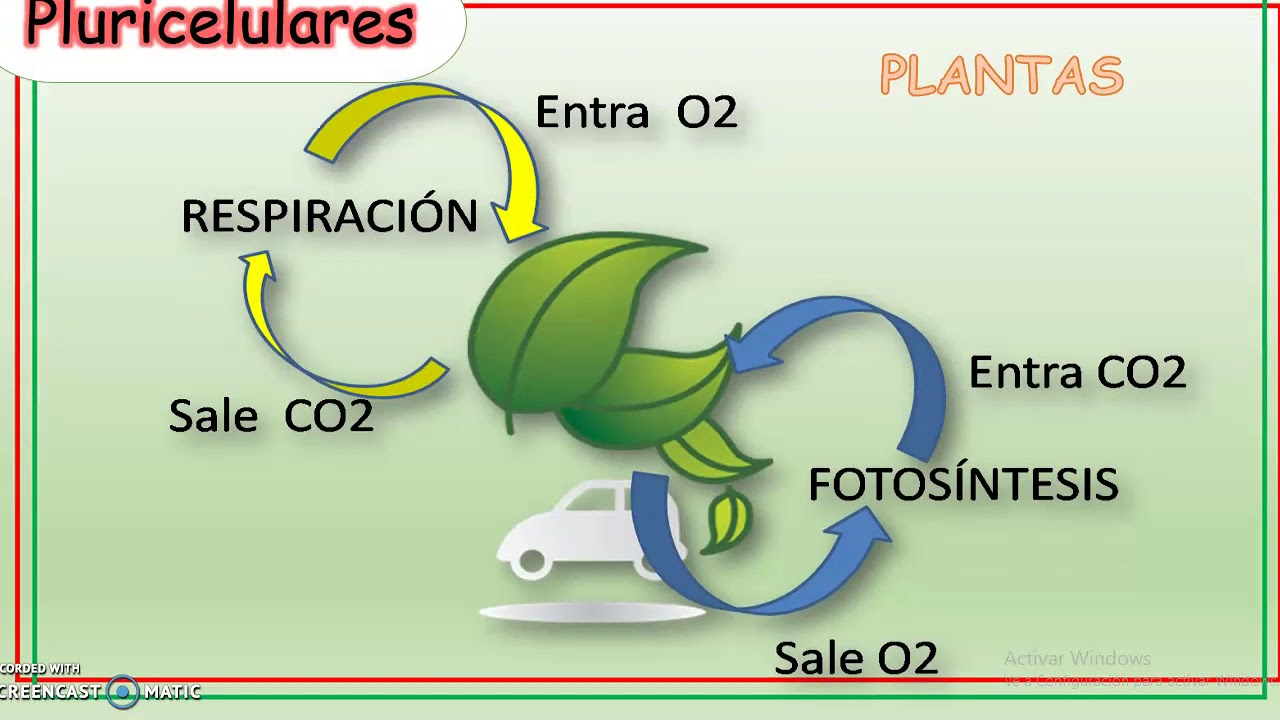 CLASE 7 SEPTIMO - YouTube CLASE 7 SEPTIMO - YouTube