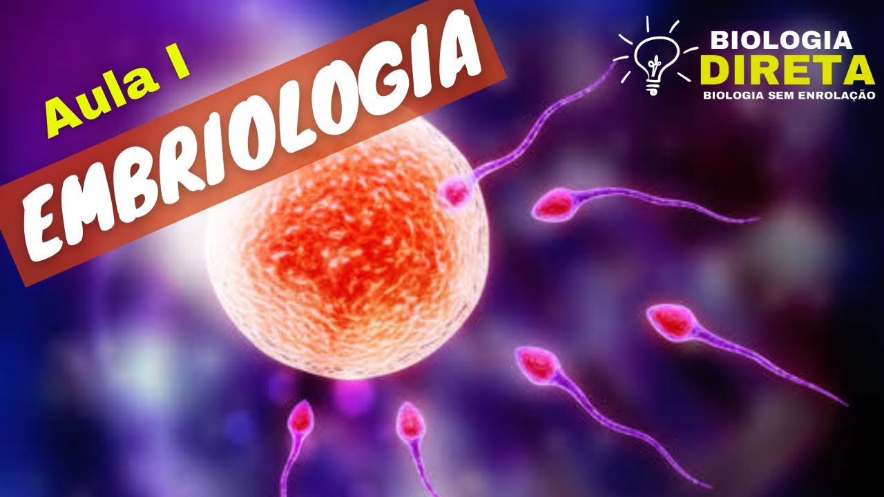 Introdução à EMBRIOLOGIA | Aula 1 | prof.Harison | Biologia Direta ...