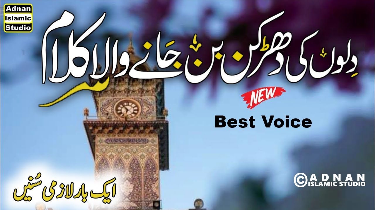 New Kalam | Kalam 2024 | Best Kalam | Naat | Toqeer Qamalvi | Adnan ...