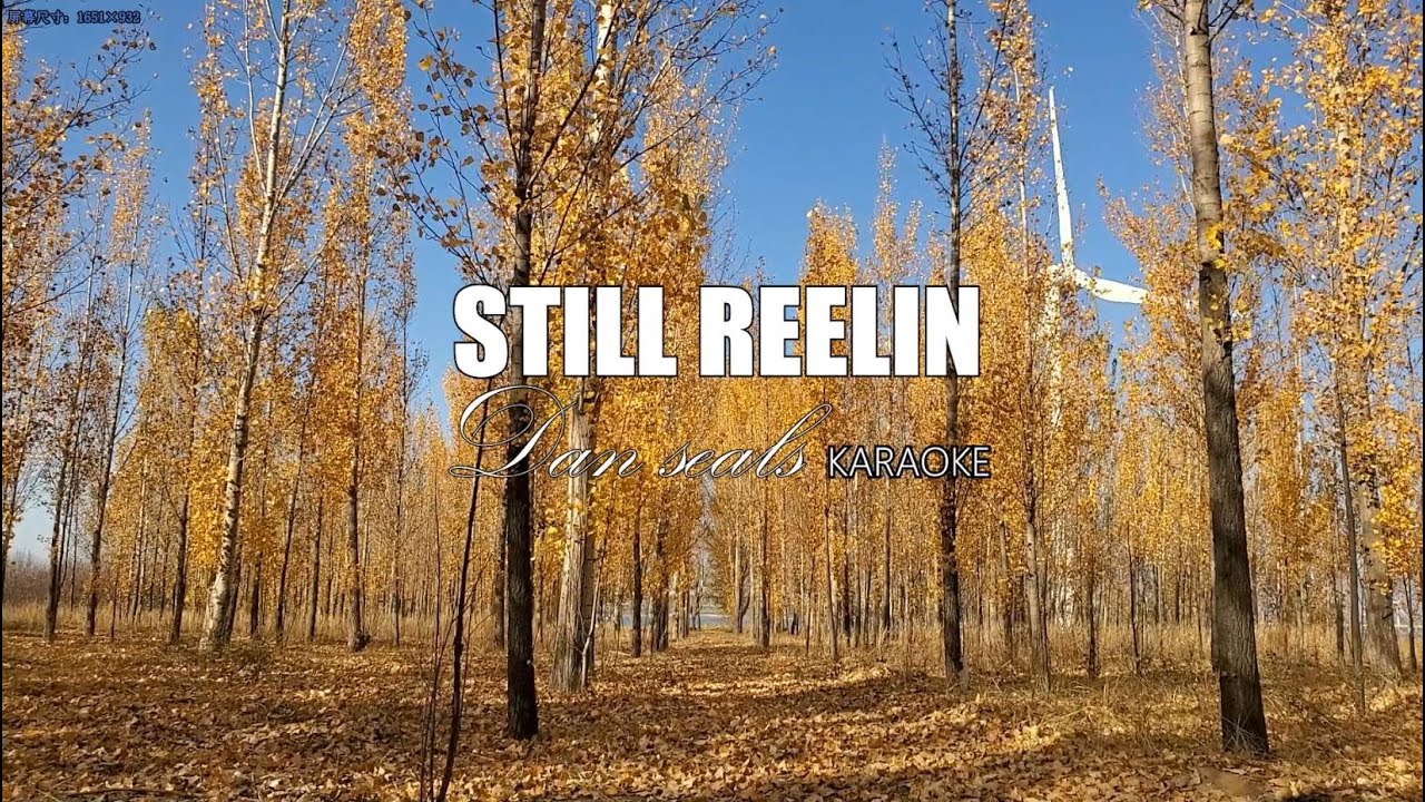 Still Reelin Good accompaniment Dan Seals singing and Karaoke - YouTube