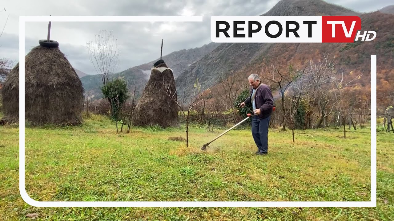 Ndue Zaja nga Gjegjan ‘refuzon’ qytetin për vreshtarinë: E kam pasion ...