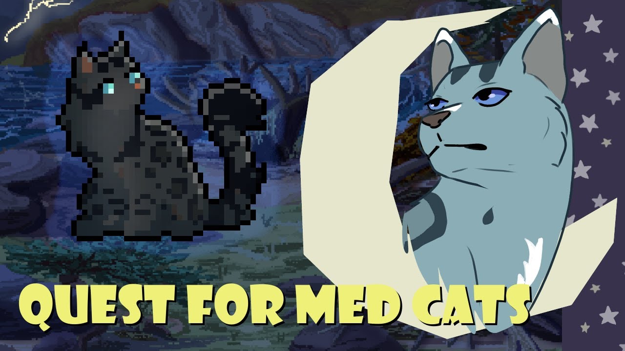 MoonClan Episode 7 || Medicine Cat Discourse || LifeGen - YouTube