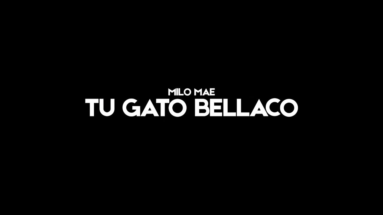 TU GATO BELLACO MILO MAE | Coreografía - YouTube