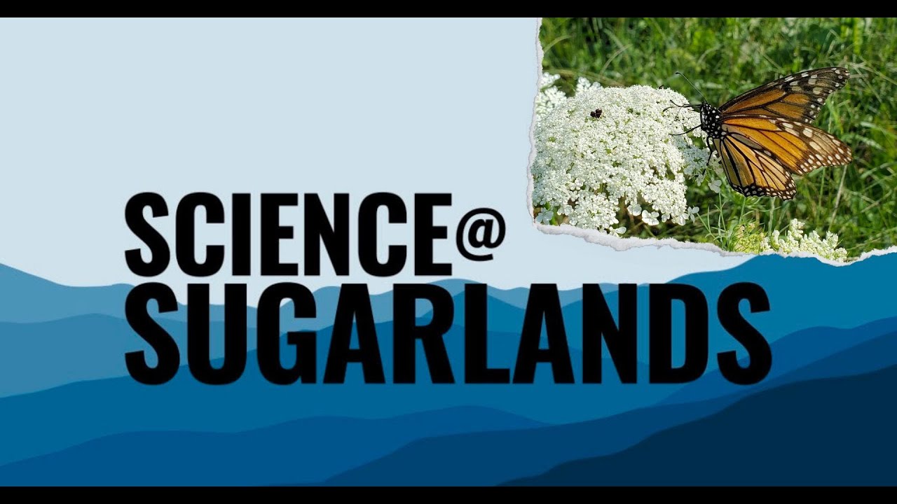Science @ Sugarlands: Tremont's Monarch Monitoring Program (Erin Canter ...