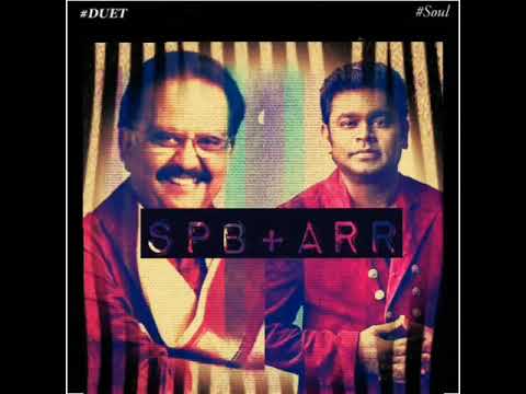 Mettupodu Mettupodu | SPB | AR Rahman | Tamil WhatsApp Status| Duet | Tamil Melody Song
