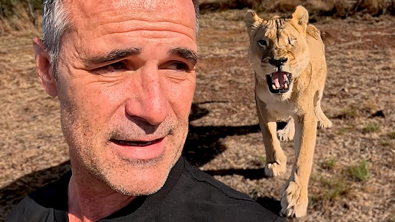 Best Wildlife Videos to Watch Right Now