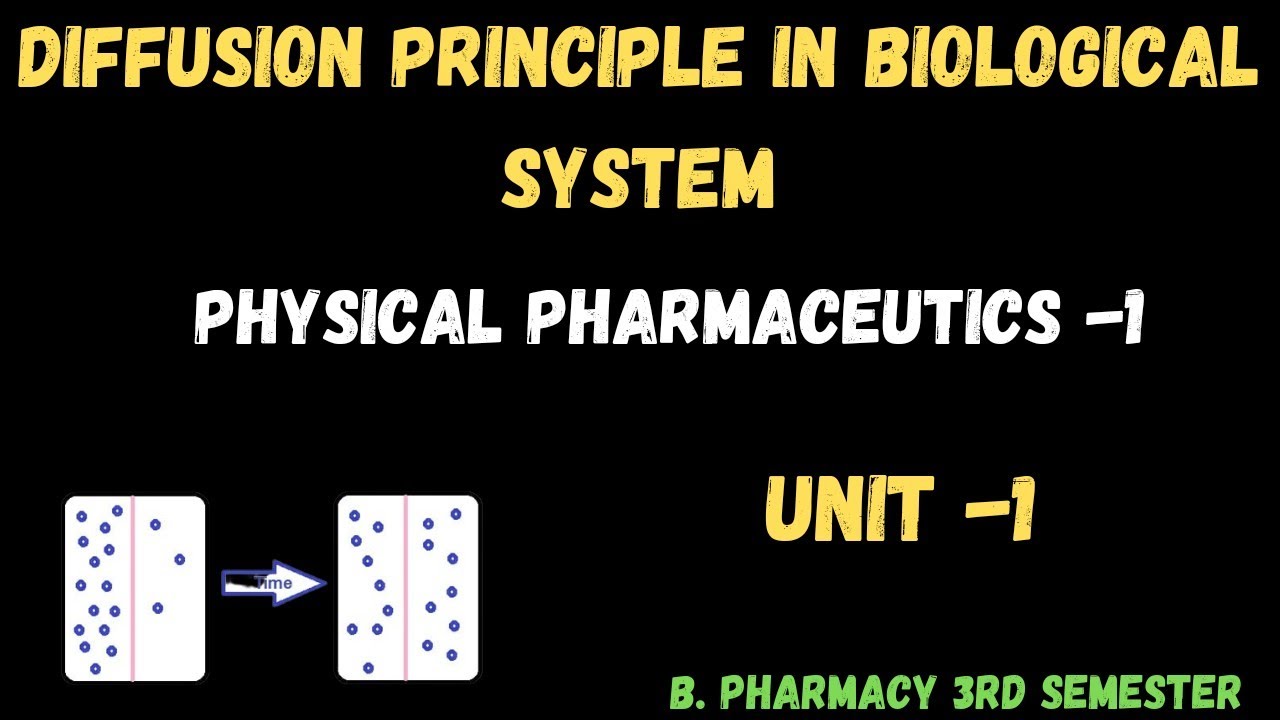 Diffusion Principle In Biological System | Unit -1 | Physical ...