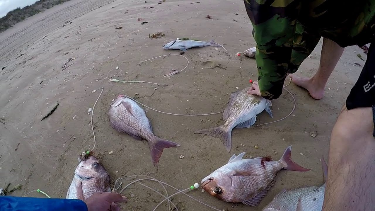 A magic kontiki set in the north - a string of 45-50cm Snaps - YouTube